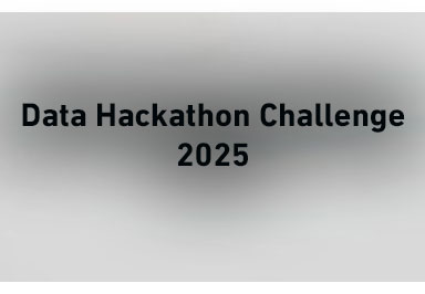 Data Hackathon Challenge 2025